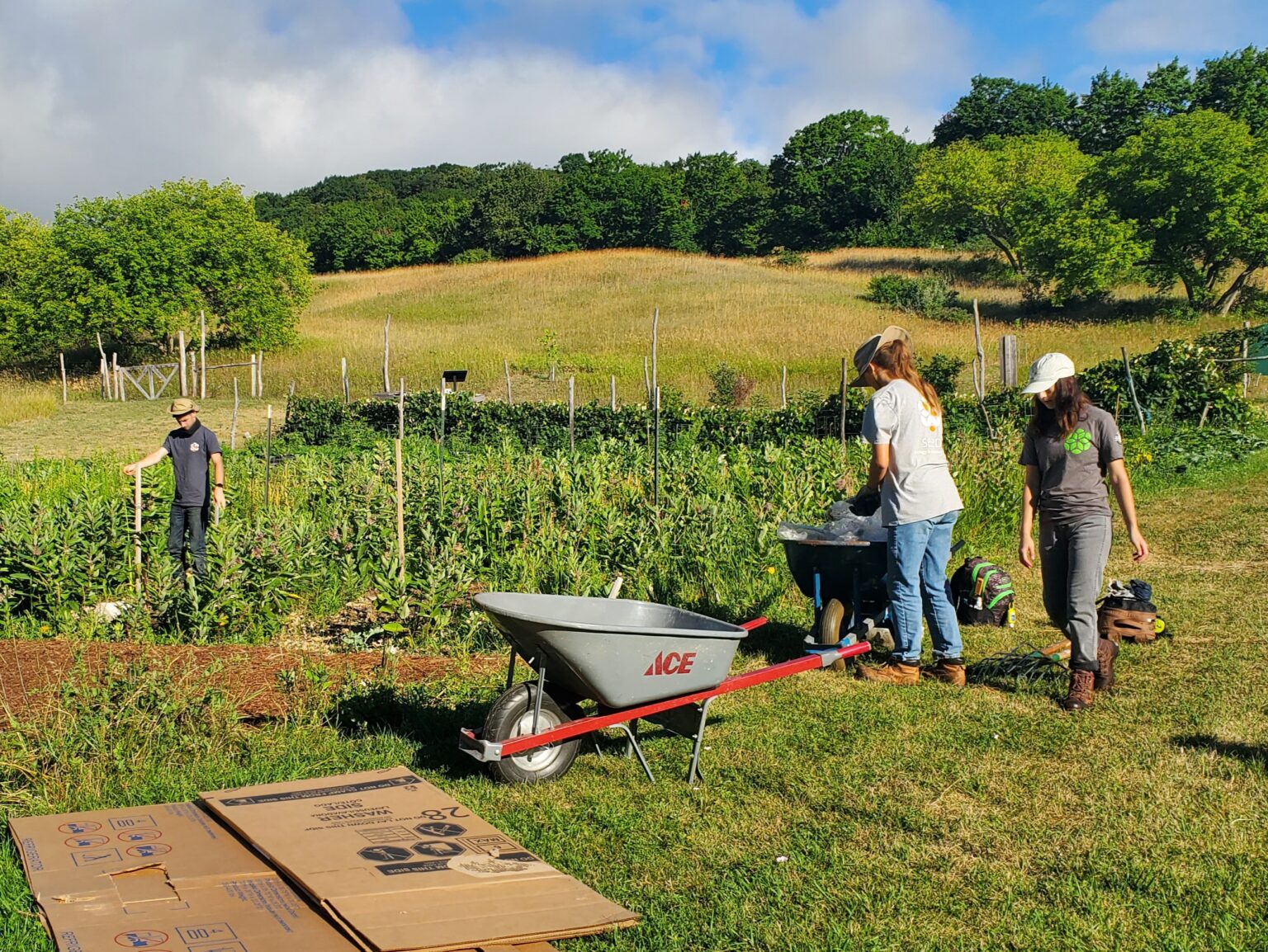 Historic Barns Park Archives - SEEDS