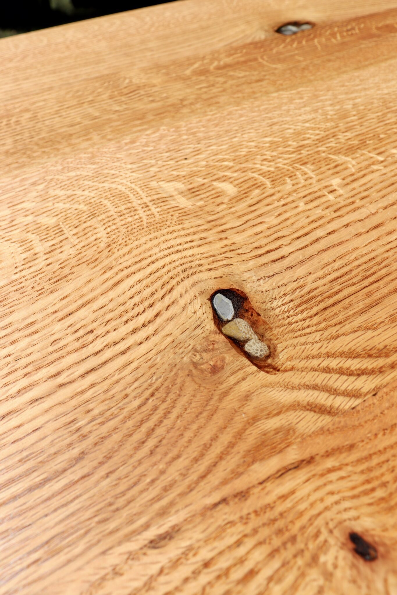 Red Oak Coffee Table with Fossil Embellishments - SEEDS